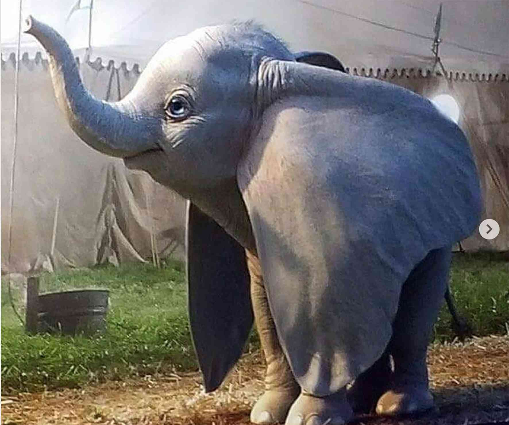 Tim Burton : « J’aime la marginalité de Dumbo » • SEE Mag